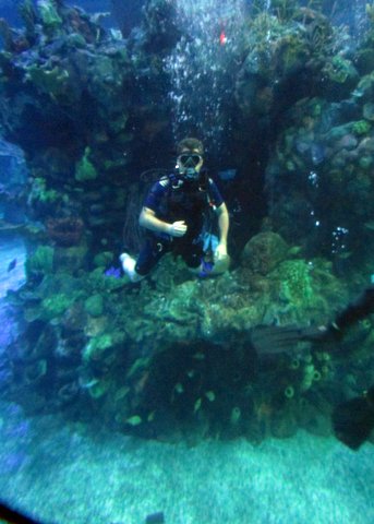 Epcot DiveQuest Tour