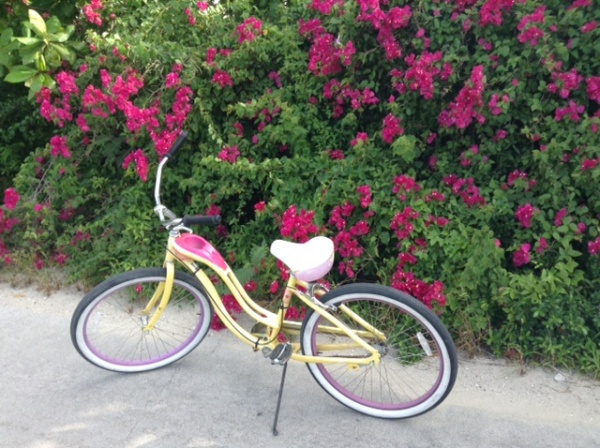 Disney Cruise Line Bike Rentals at Castaway Cay