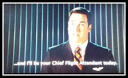 Nice Work Pal - A Final Goodbye to Soarin' Over California