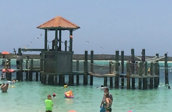 Tips for a Perfect Day on Castaway Cay