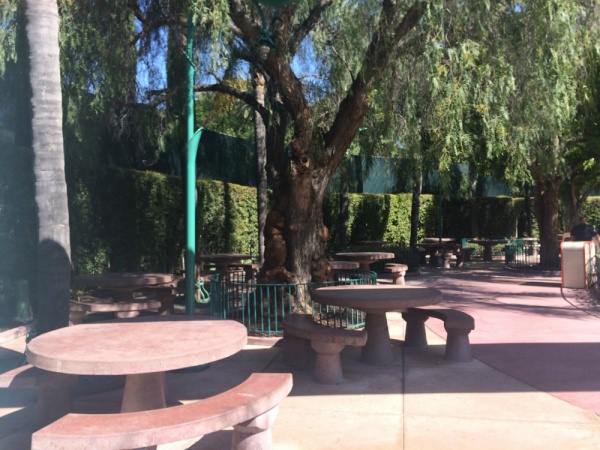 Disneyland's Picnic Area