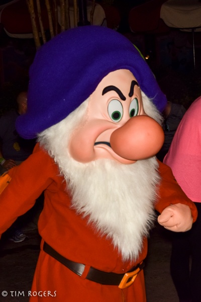 An Introvert's Guide to Walt Disney World