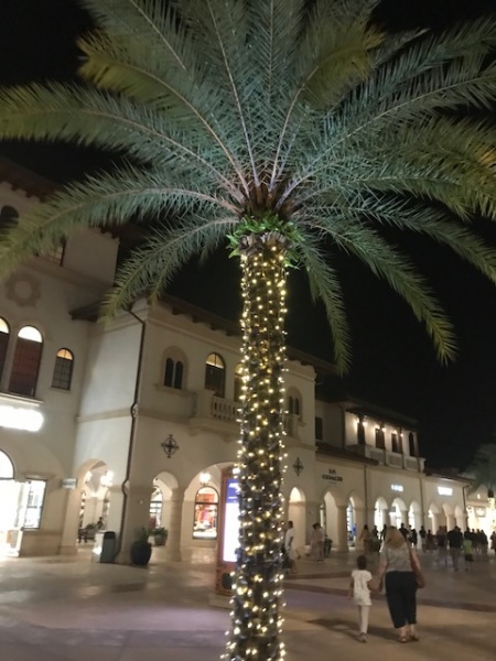 Birthday Celebrations at Walt Disney World: A Trip Report