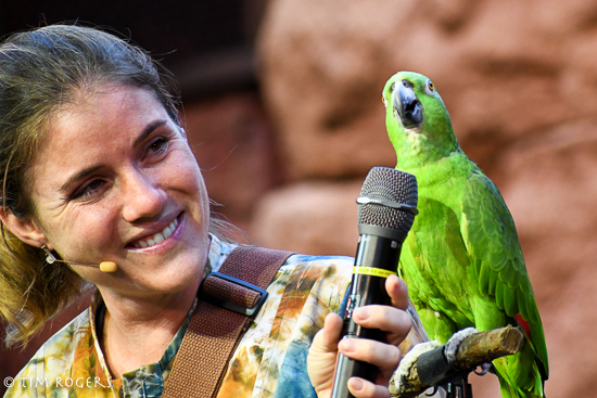 Up! A Great Bird Adventure at Disney's Animal Kingdom