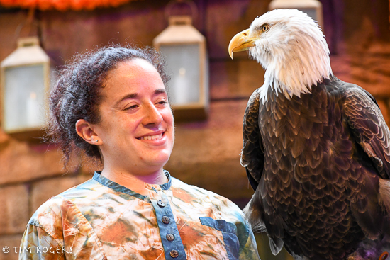 Up! A Great Bird Adventure at Disney's Animal Kingdom