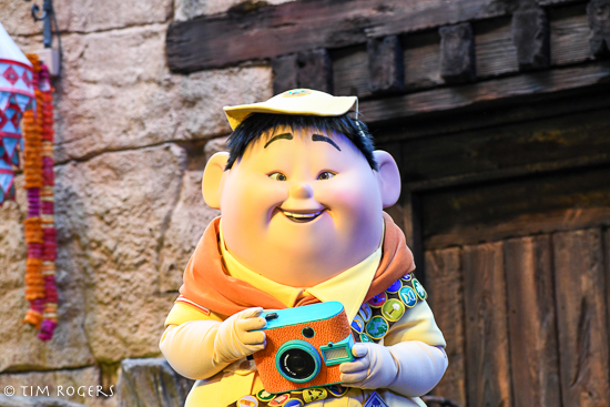 Up! A Great Bird Adventure at Disney's Animal Kingdom