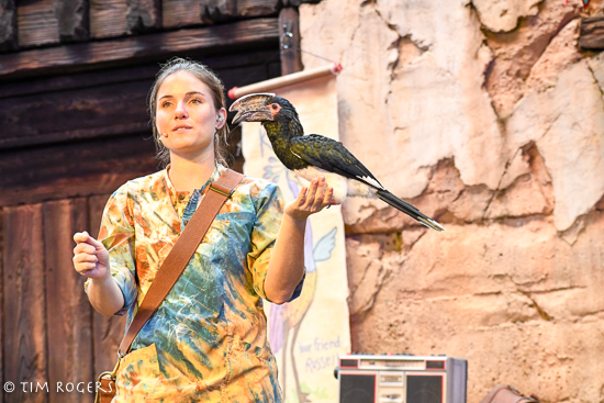 Up! A Great Bird Adventure at Disney's Animal Kingdom