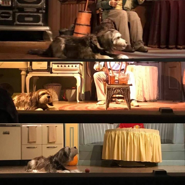 Fun Facts for the Carousel of Progress' 55th Anniversary
