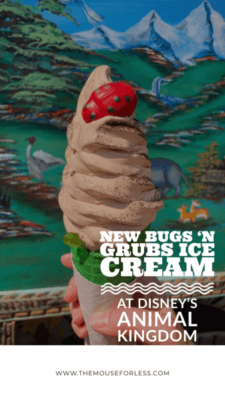 Review of the Bugs 'n Grubs Ice Cream Cone at Disney's Animal Kingdom