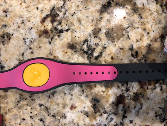 How To Change Up Your MagicBands