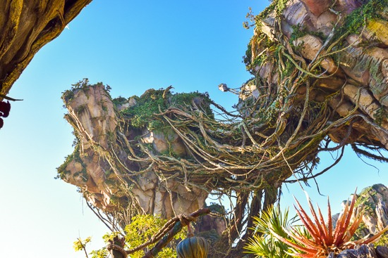 50 Things I Love About Walt Disney World