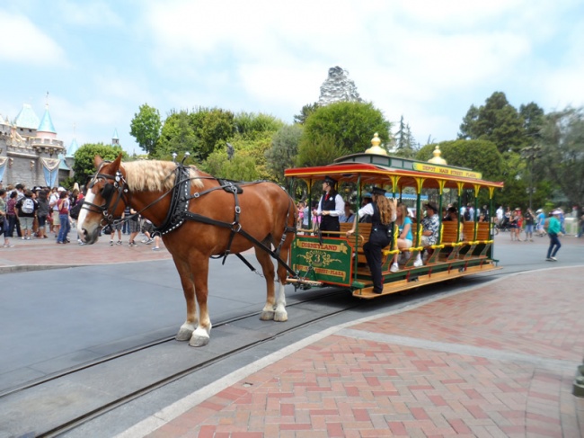 Disneyland Rides and Attractions Information | Disneyland Resort