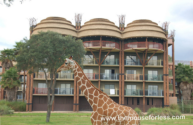 Disney's Animal Kingdom Villas Guide | Walt Disney World