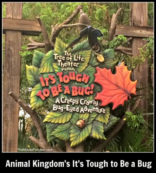 It's Tough to Be a Bug - Discovery Island - Disney's Animal Kingdom