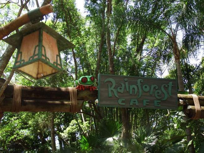 The Oasis Exhibits - Oasis - Disney's Animal Kingdom