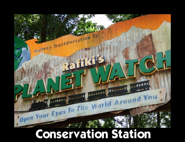 Conservation Station | Disney's Animal Kingdom at Walt Disney World