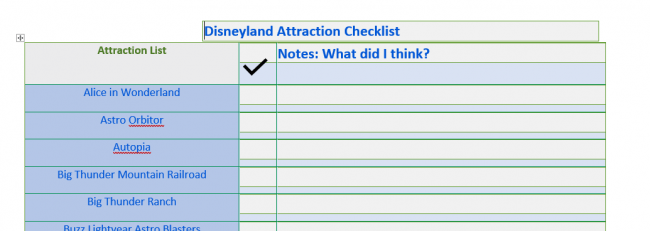 Disney Theme Park Checklists for Kids Adventures