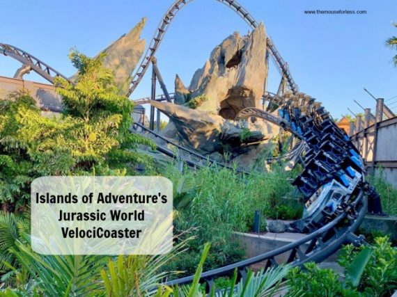 Jurassic World VelociCoaster | Universal Orlando Resort