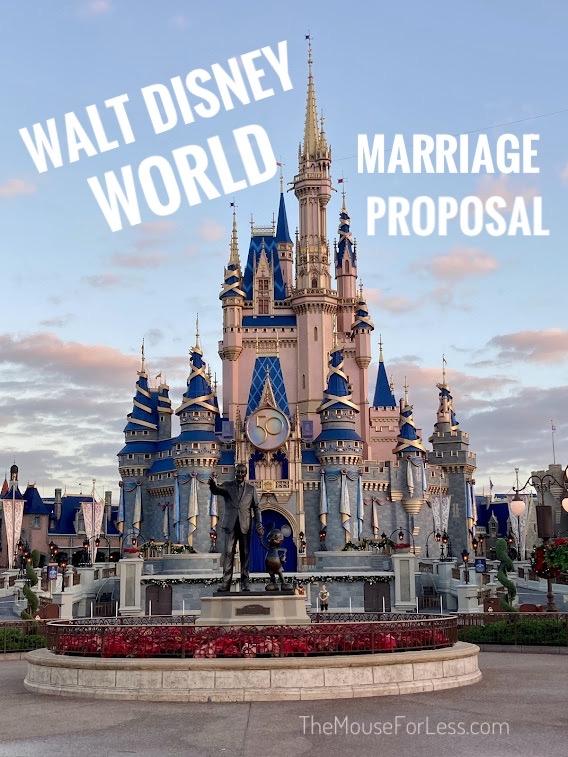 Tips for Marriage Proposals at Walt Disney World Resort