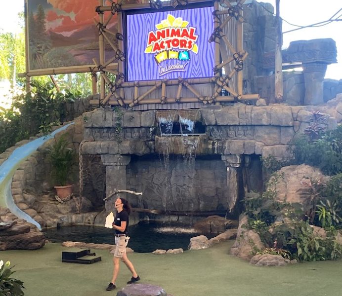 Animal Actors On Location | 2025 | Universal Studios Florida
