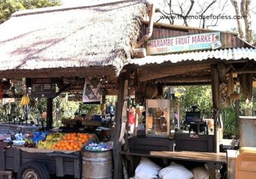 Harambe Fruit Market Menu | 2025 | Disney's Animal Kingdom