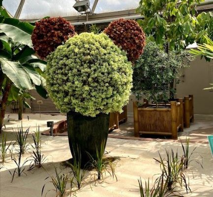 Living with the Land - Future World - Walt Disney World's EPCOT