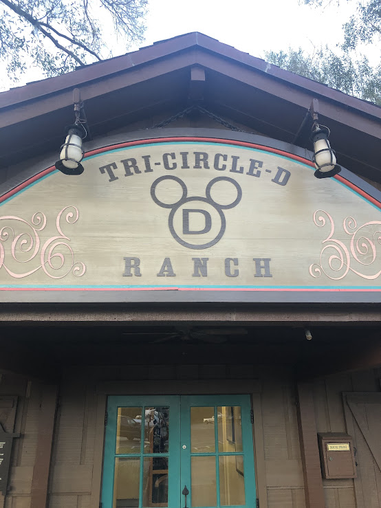 Horseback Riding at Walt Disney World