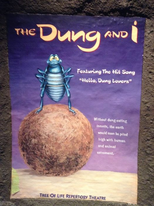 It's Tough to Be a Bug - Discovery Island - Disney's Animal Kingdom