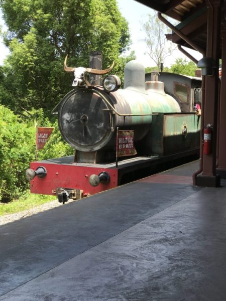 Wildlife Express Train | Animal Kingdom Walt Disney World