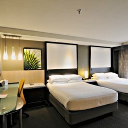 Disney's Contemporary Resort Guide | Walt Disney World