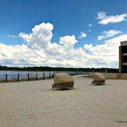 Disney's Contemporary Resort Guide | Walt Disney World